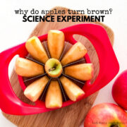 Why Do Apples Turn Brown? Science Experiment