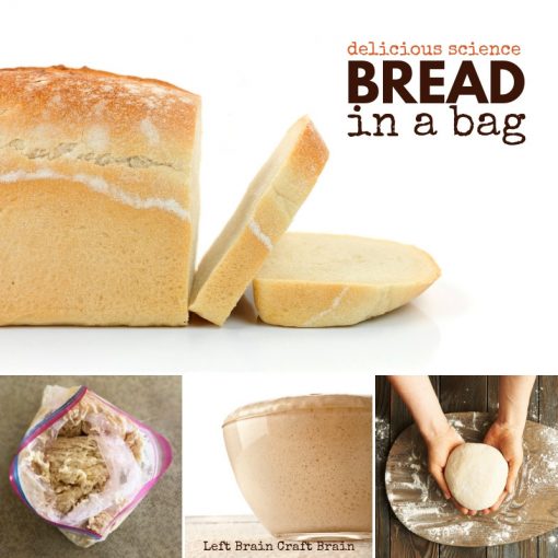 Bread in a Bag Recipe - Totally Delicious and Easy - Left Brain Craft Brain