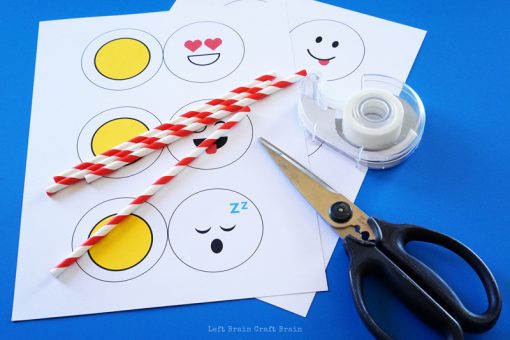 Emoji Thaumatrope Optical Illusion Toys STEAM Activity for Kids - Left ...