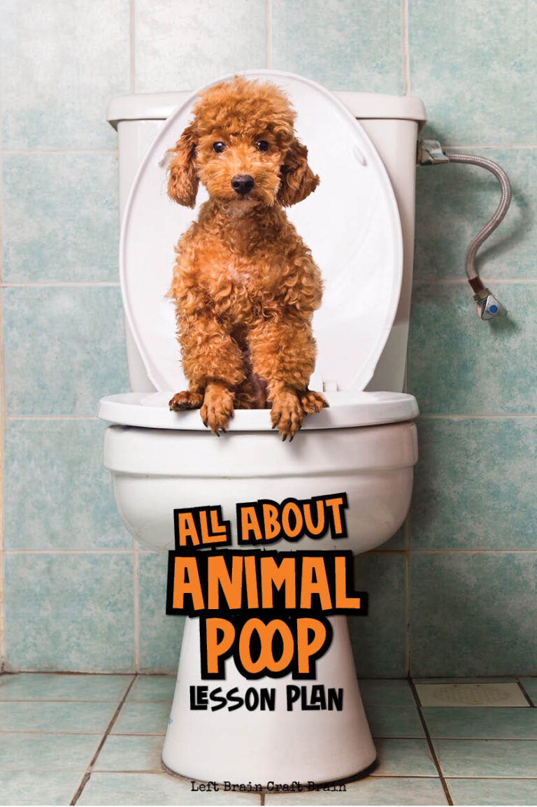 Learn All About Animal Poop with this fun Lesson Plan - Left Brain ...