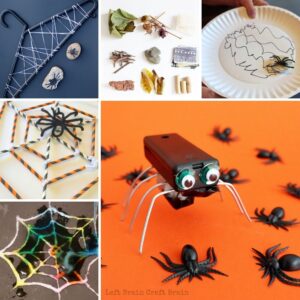 Spider Activities You Can Do With the Kids - Left Brain Craft Brain