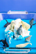 Polar Oobleck Science Sensory Play - Left Brain Craft Brain
