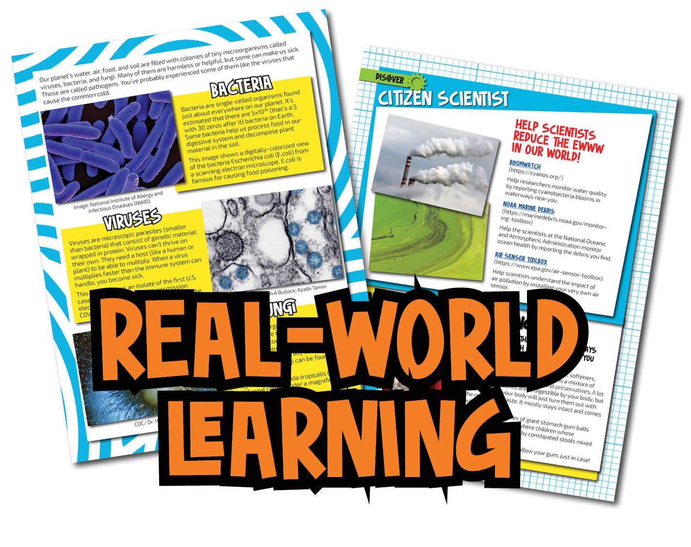 STEAM Explorers Ewww Issue Gross Activities for Kids - OIR - Left Brain ...