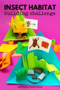 Insect Habitat Building Challenge - Left Brain Craft Brain