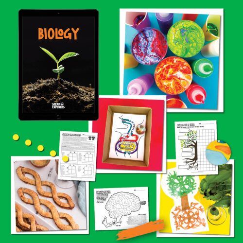 STEAMschooling Homeschool Curriculum for Kids - Left Brain Craft Brain