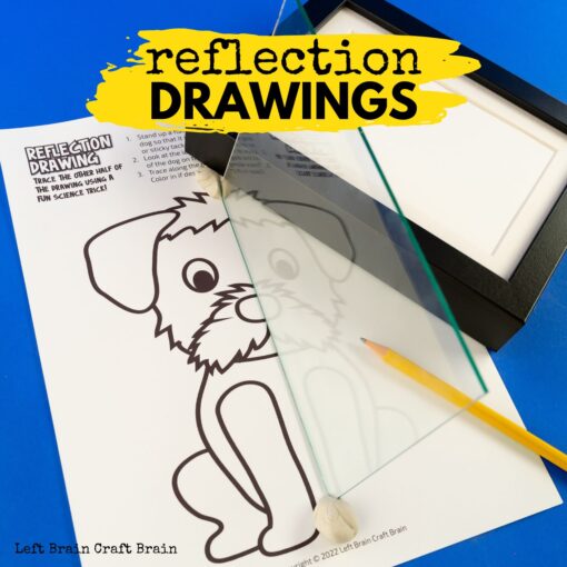 Reflection Drawing: A Fun Physics, Math, and Art Project - Left Brain ...
