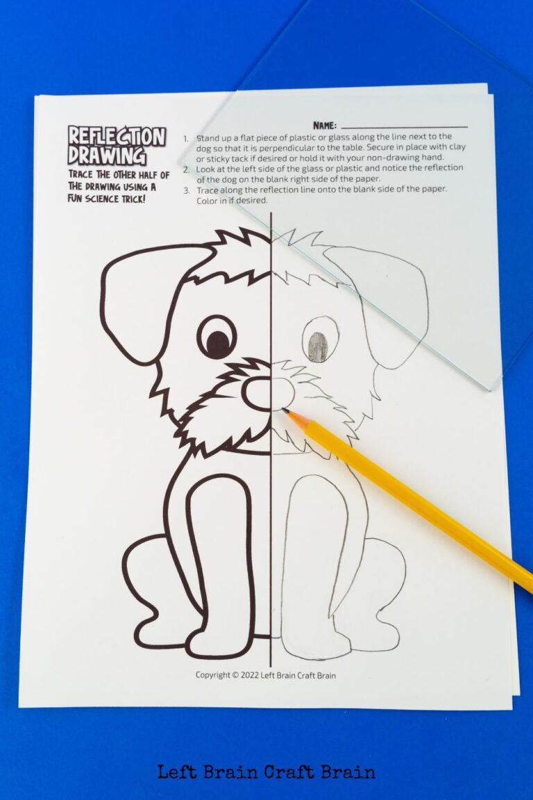 Reflection Drawing: A Fun Physics, Math, and Art Project - Left Brain ...