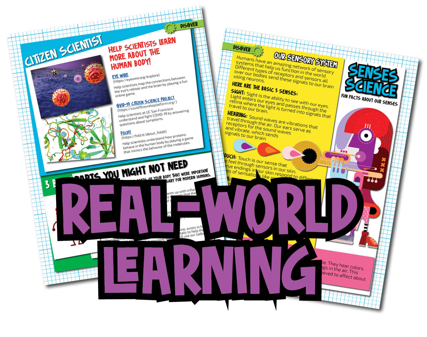 STEAM Explorers Human Body Activities for Kids 2024 - Home - Left Brain ...