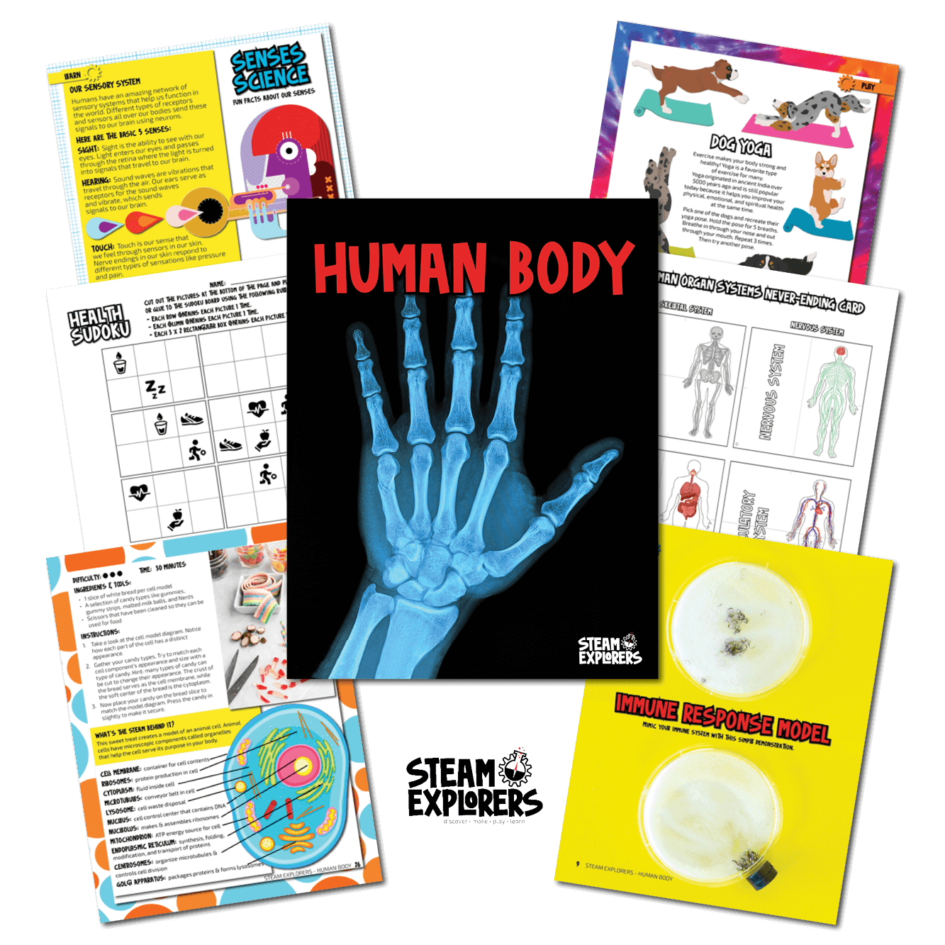 STEAM Explorers Human Body Activities for Kids 2024 - Home - Left Brain ...